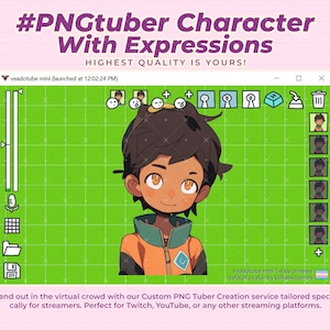 Male Pngtuber Model: 12 Expressions, Streaming Avatar - Etsy
