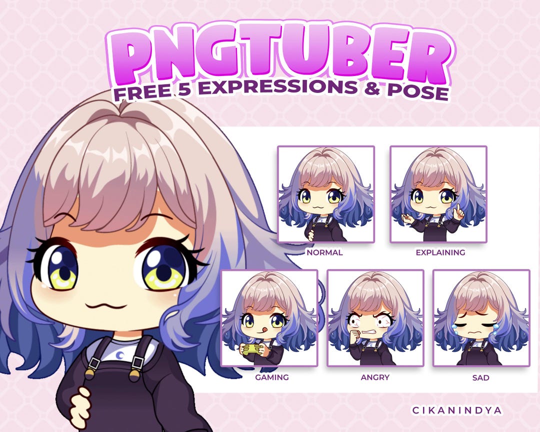 Chibi Female Pngtuber – Stylish Premade Animated Model - Etsy