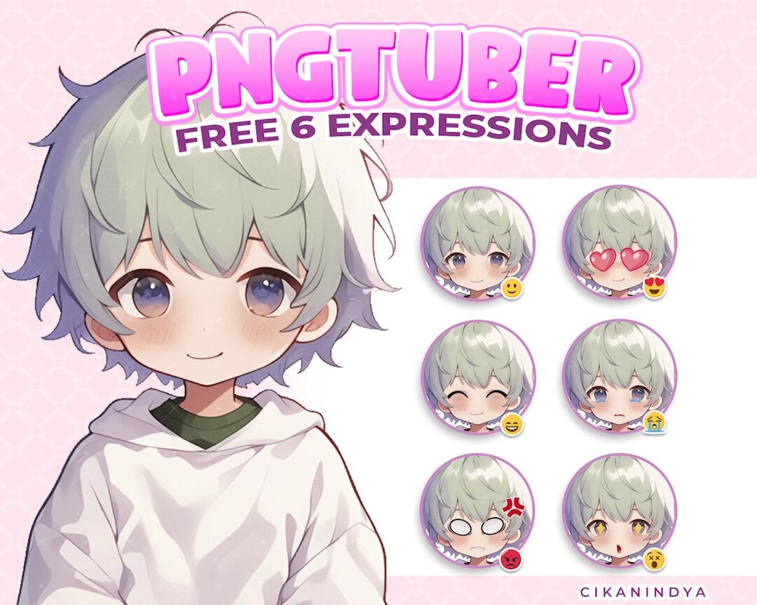 Premade Pngtuber Model – Adorable Male Character in White Hoodie - Etsy