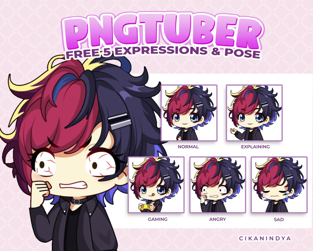 Stylish Male Pngtuber – Bold Two-tone Animated Chibi Model - Etsy
