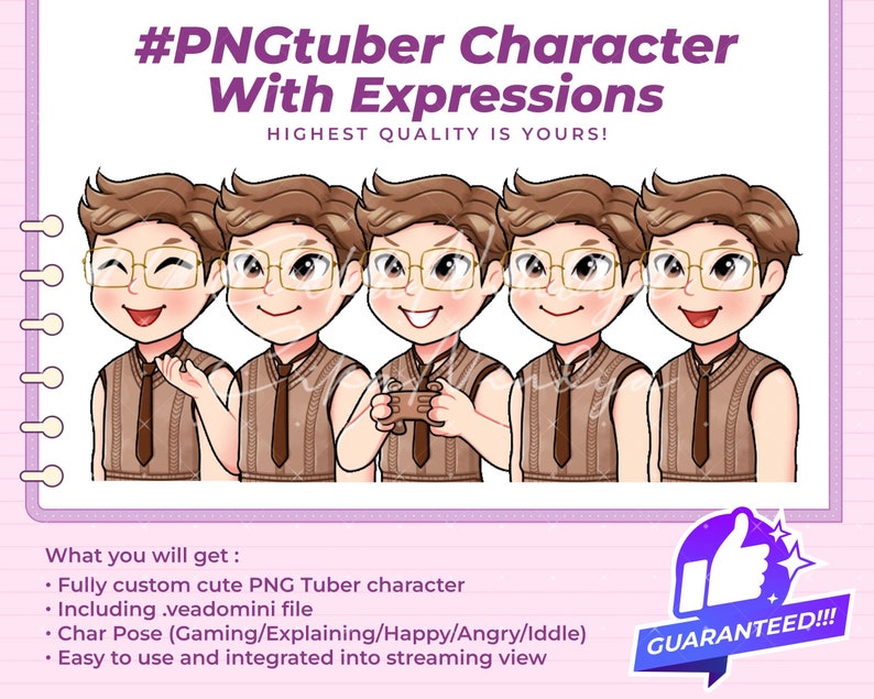 Boy PNG Tuber Model: 5 Poses, Streamer Avatar - Etsy