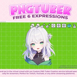 Elegant Chibi Pngtuber Model – Perfect for Streamers - Etsy