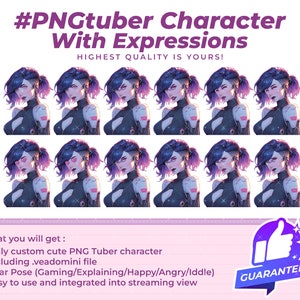 Cyberpunk PNG Tuber Avatar: 12 Poses, .veadomini File - Etsy