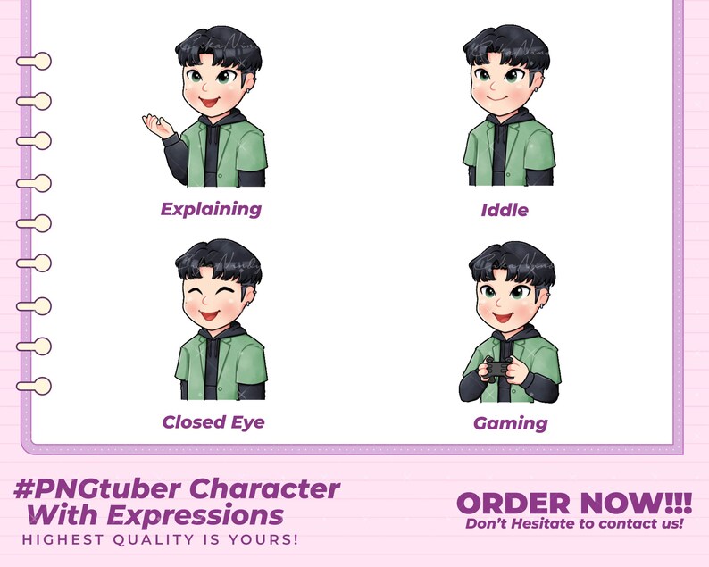 Get Noticed on Streams With Eye-catching PNG Tuber Pngtuber - Etsy