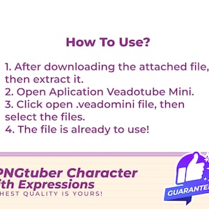 Custom PNG Tuber or GIF Tuber Creation for Vtuber Streamers, Custom PNG ...