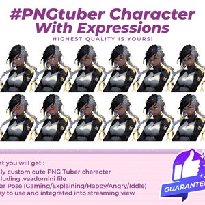 Pngtuber | Cyberpunk PNG Tuber for Gaming Streamers | 12 Character ...