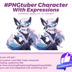 PNG Tuber | Dynamic Furry PNG Tuber Avatars for Streaming & Vlogging ...