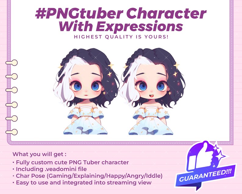 Chibi PNG Tuber Avatar: 2 Pose Streamer Model - Etsy