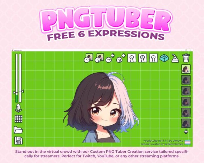 Chibi PNG Tuber Avatar: Split Black & White Hair, 6 Animations - Etsy