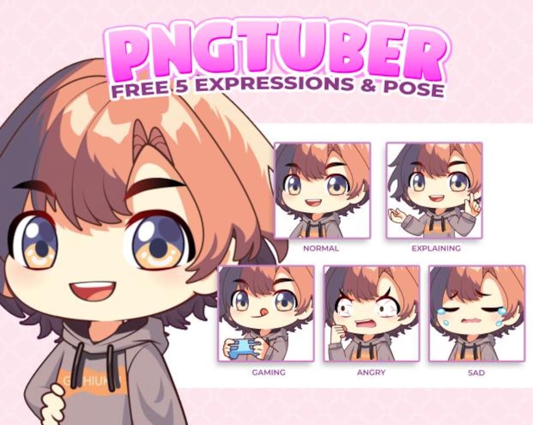 Energetic Male Pngtuber – Premade Chibi-style Animated Model - Etsy