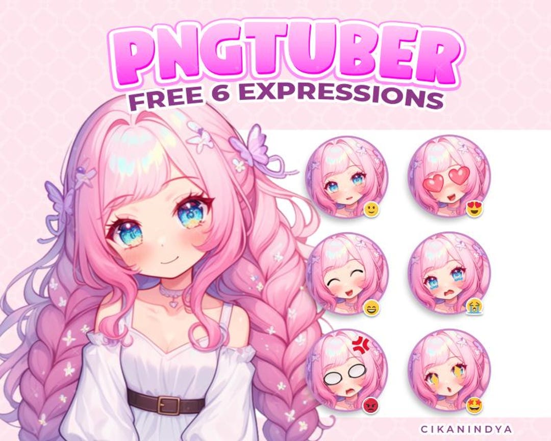 Expressive Chibi PNG Tuber: Pink Braid Hair, 6 Poses - Etsy