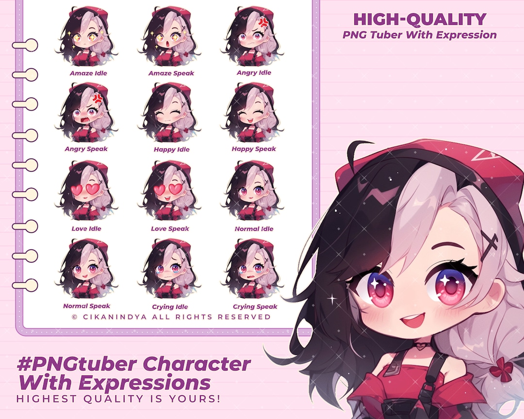 Animated Pngtuber Avatar: 12 Poses for Gaming Streamers - Etsy