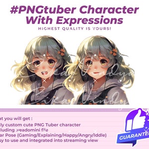 Premade Pngtuber Model: Anime Girl Avatar With Expressions - Etsy