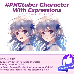 PNG Tuber, Pngtuber Premade, Pngtuber Commission, Pngtuber Avatar ...