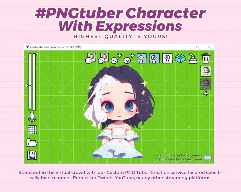 Chibi PNG Tuber Avatar: 2 Pose Streamer Model - Etsy