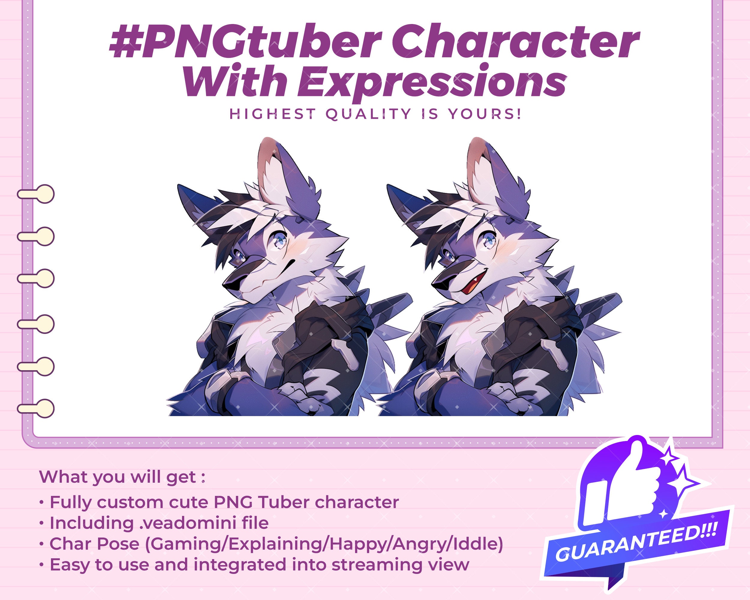 Furry Pngtuber Avatar: 2 Poses, Streamer Essentials (.veadomini File ...
