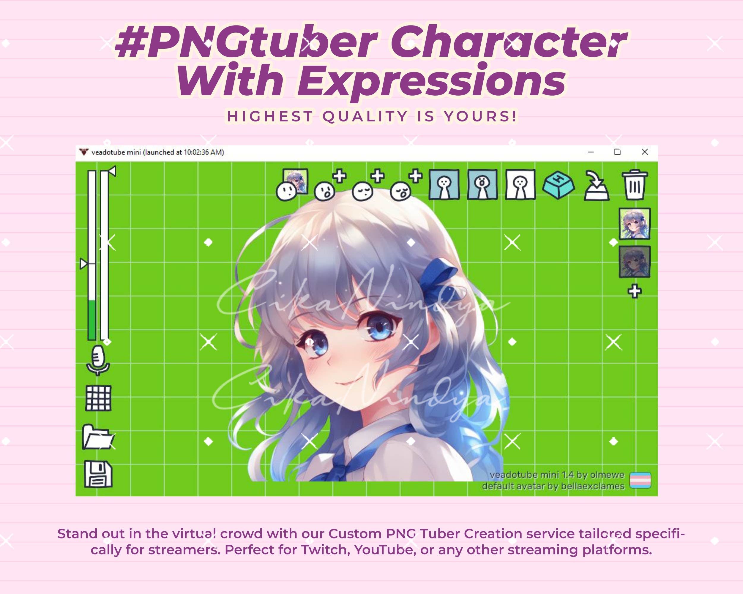 PNG Tuber, Pngtuber Premade, Pngtuber Commission, Pngtuber Avatar ...