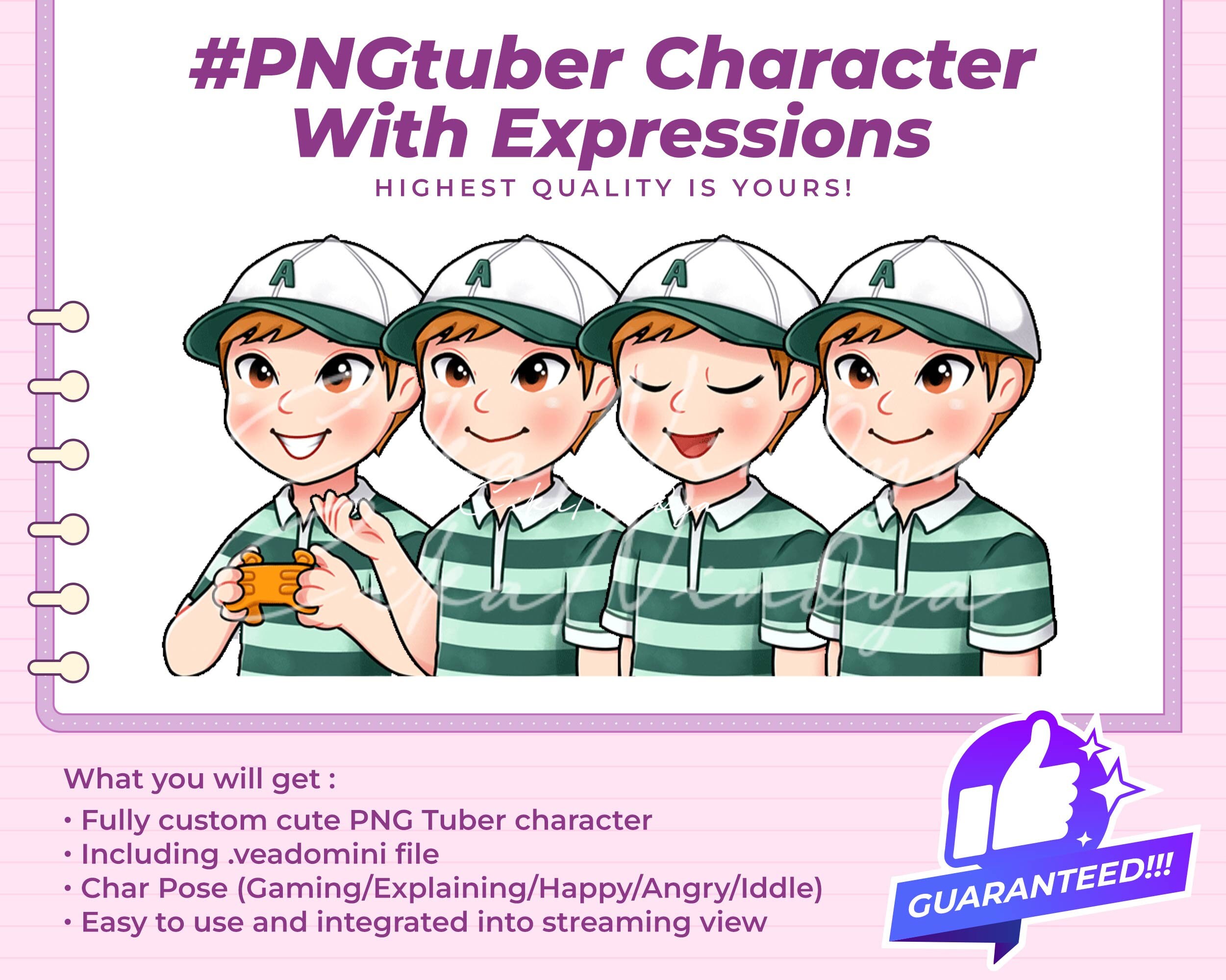 Professional PNG Tuber Graphic for Streamers Pngtuber - Etsy