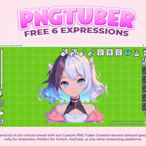 PNG Tuber | Unique Live2d Anime Character Design for Streaming | Get 6 ...