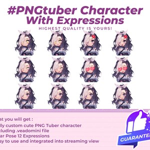 Pngtuber Cute PNG Tuber Chibi Designs for Engaging Content Get 12 ...