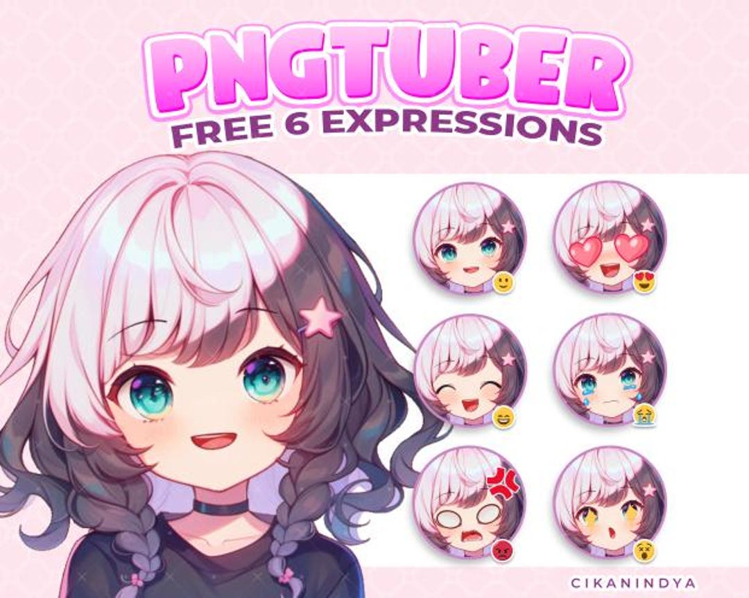 Chibi PNG Tuber Avatar: Braided Hair, 6 Animated Expressions (live2d ...