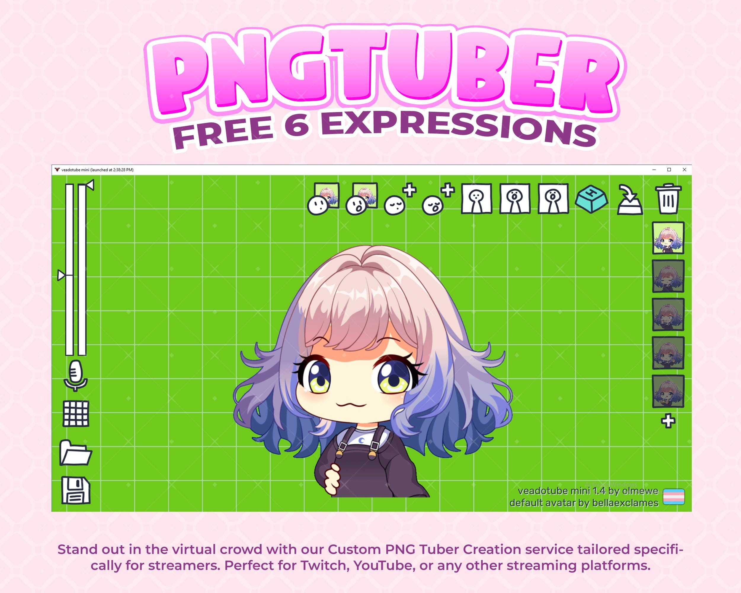 Chibi Female Pngtuber – Stylish Premade Animated Model - Etsy
