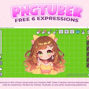 PNG Tuber | Streamer Cute and Customizable With Perfect Character ...