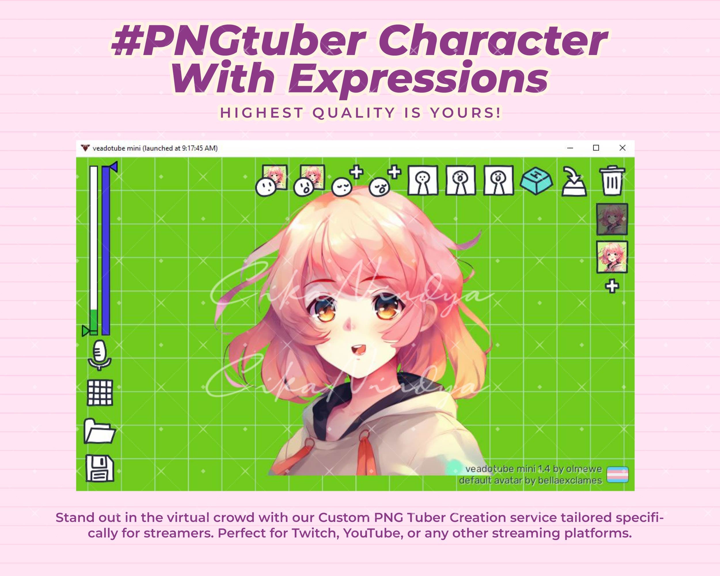 PNG Tuber Pngtuber Model Pngtuber Premade Pngtuber - Etsy