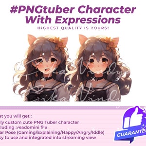 Elevate Your Stream With PNG Tubers for Streamers - Pngtuber Premade ...