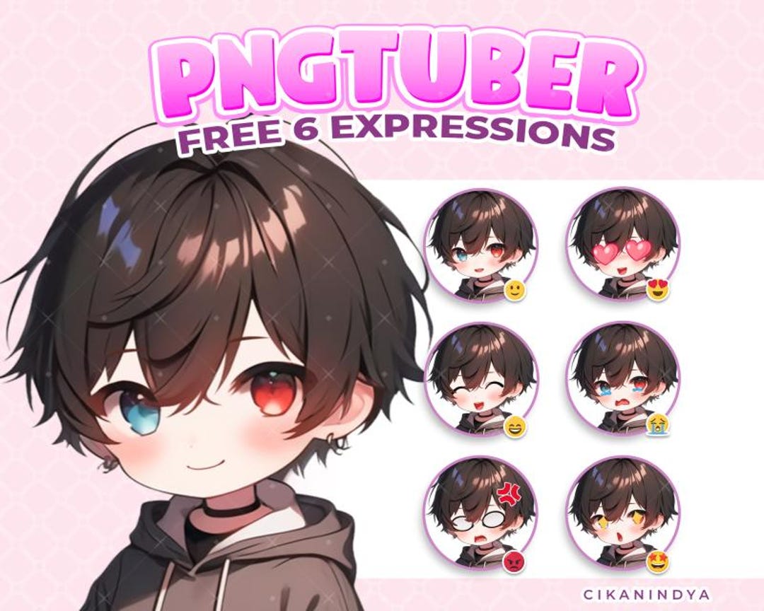 Premade Custom Pngtuber Male Character With Dual-colored Eyes - Etsy