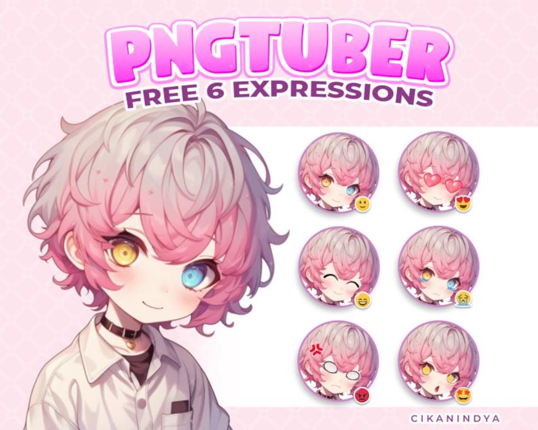 Chibi Androgynous Pngtuber Model: Heterochromia Eyes (premade Download ...