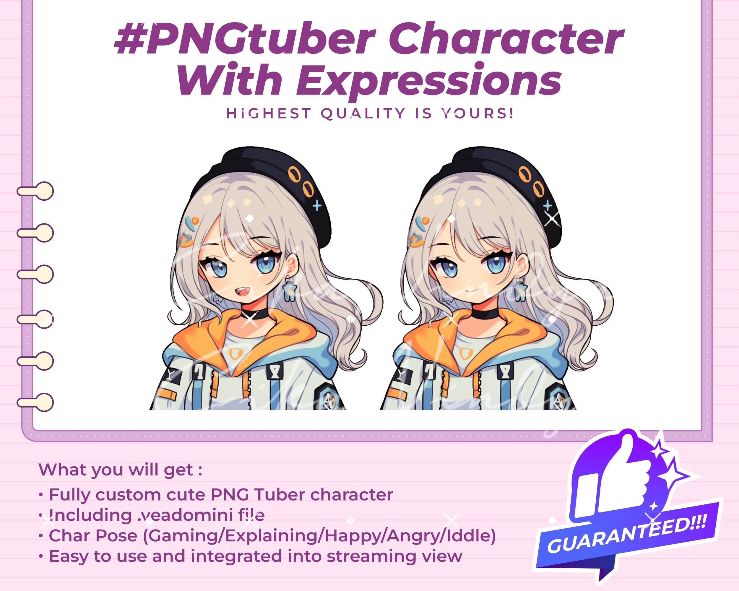 PNG Tuber, Pngtuber Model, Pngtuber Premade, Pngtuber Commission Stream ...