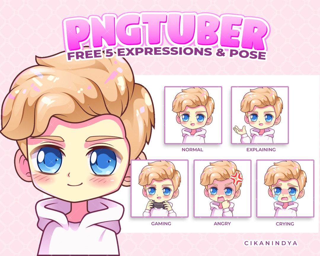 PNG Tuber | PNG Tuber Cool Boy for Streamers | You'll Get 5 Poses ...