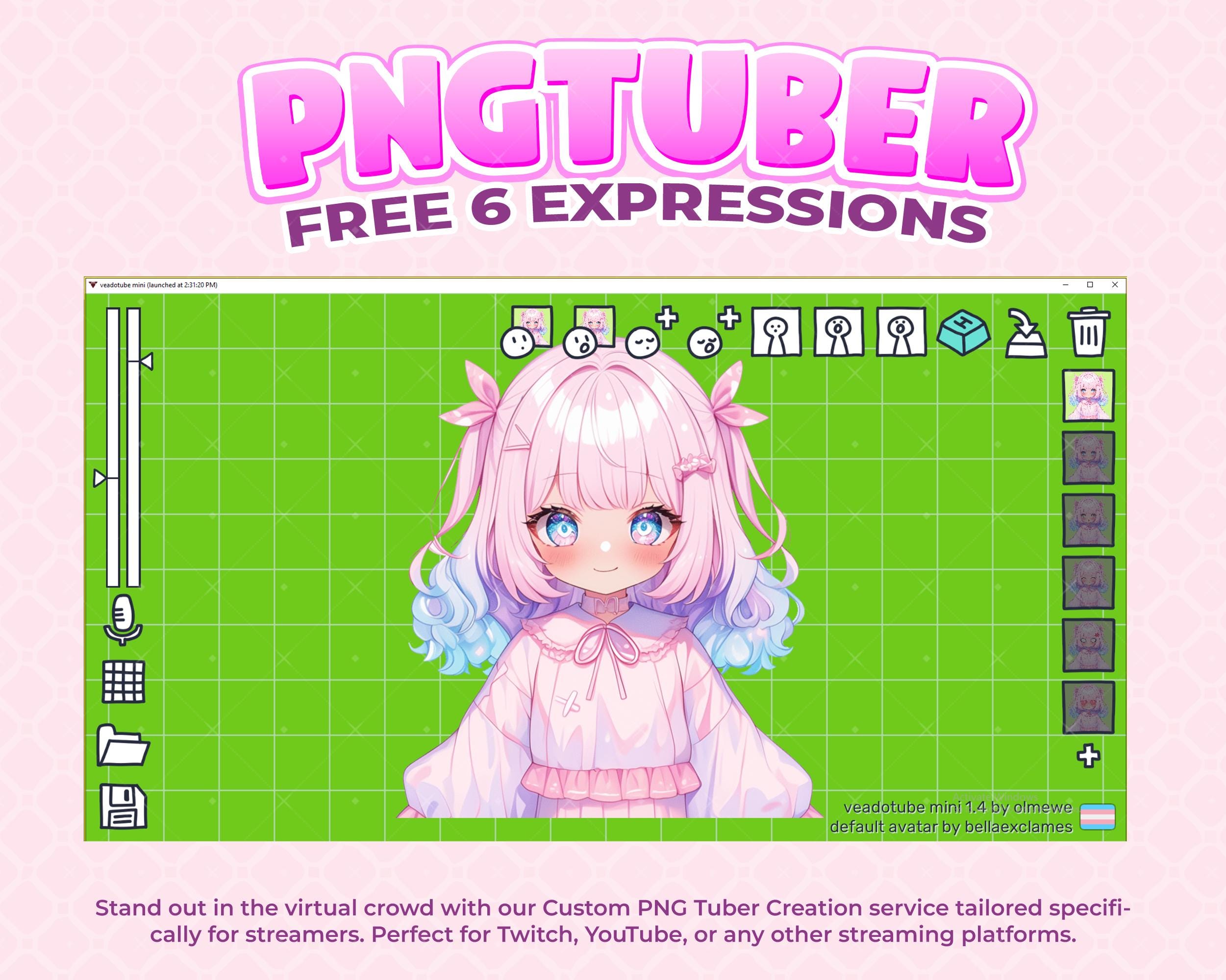 Pink & Blue Hair PNG Tuber Avatar | 6 Poses, Sparkling Eyes - Etsy