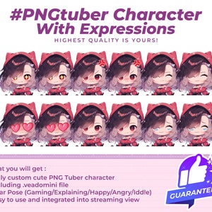 Pngtuber | PNG Tuber Chibi for Engaging Streams | 12 Expressions ...