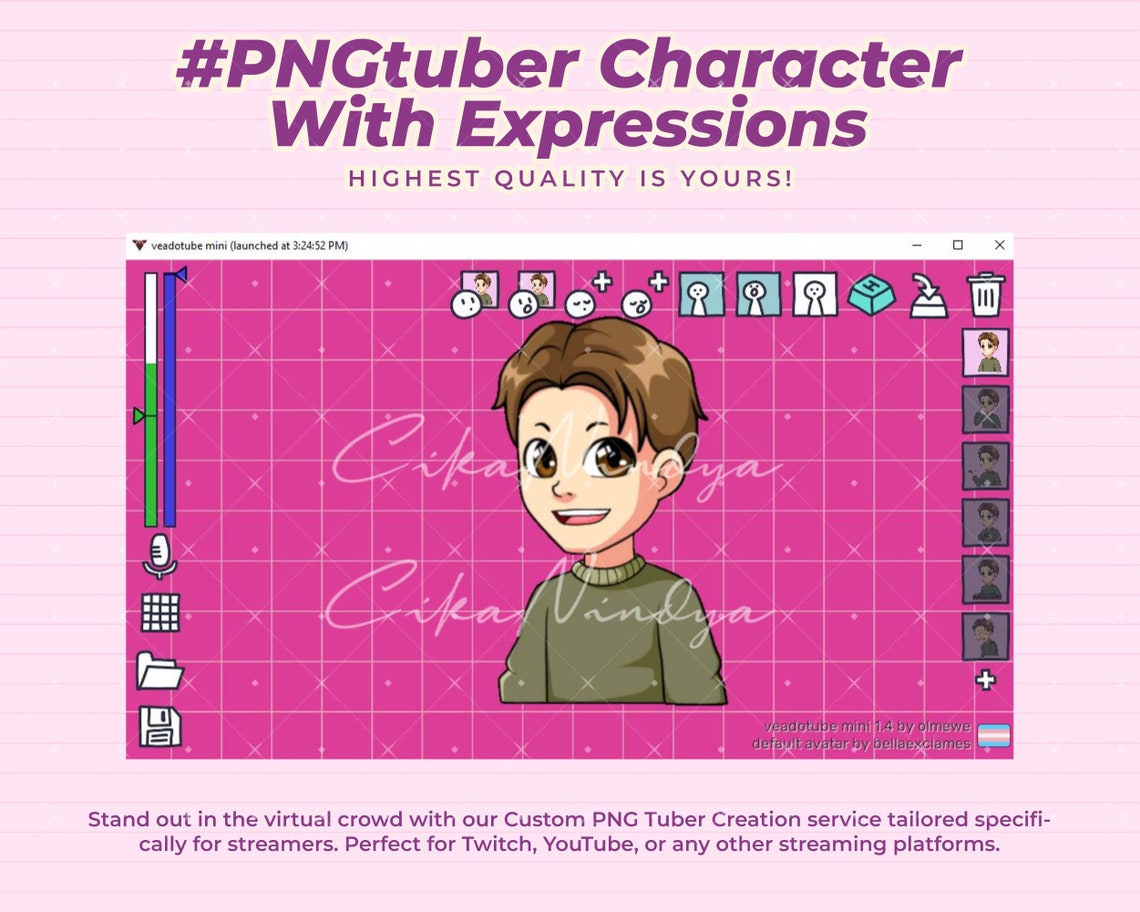 Png Tuber Png Tuber Twitch Gif Pngtuber Pngtuber Model Etsy Canada