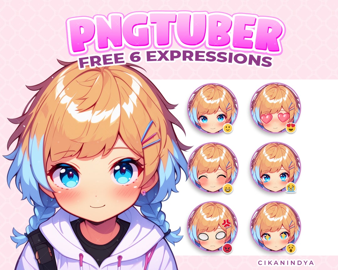 PNG Tuber | Sweet Girl With Braided Hair and Colorful Hairpins | Get 6 ...
