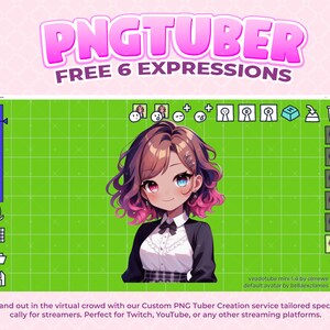 PNG Tuber Two-toned Eye PNG Tuber Avatar for Streamers Get 6 Poses ...