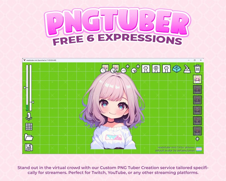 Chibi Pngtuber Model: Soft Gray Hair, Starry Eyes Animated Avatar - Etsy