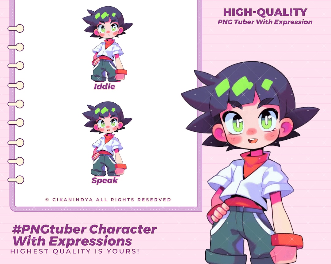 PNG Tuber | Professional PNG Tuber Design Boy for Virtual Streamers Eye ...