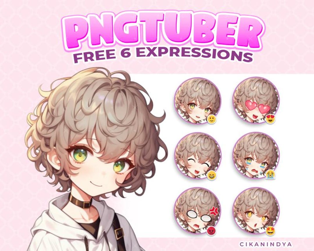 Casual Male Pngtuber – Modern Chibi Model for Streamers - Etsy