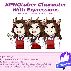 PNG Tuber, Pngtuber Model, Pngtuber Premade, Pngtuber Commission ...