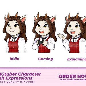 PNG Tuber, Pngtuber Model, Pngtuber Premade, Pngtuber Commission ...