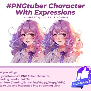 Boost Your Streaming Setup With Professional PNG Tuber - Pngtuber Girl ...