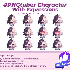 PNG Tuber | Chibi Character PNG Tuber for Dynamic Content Creators ...
