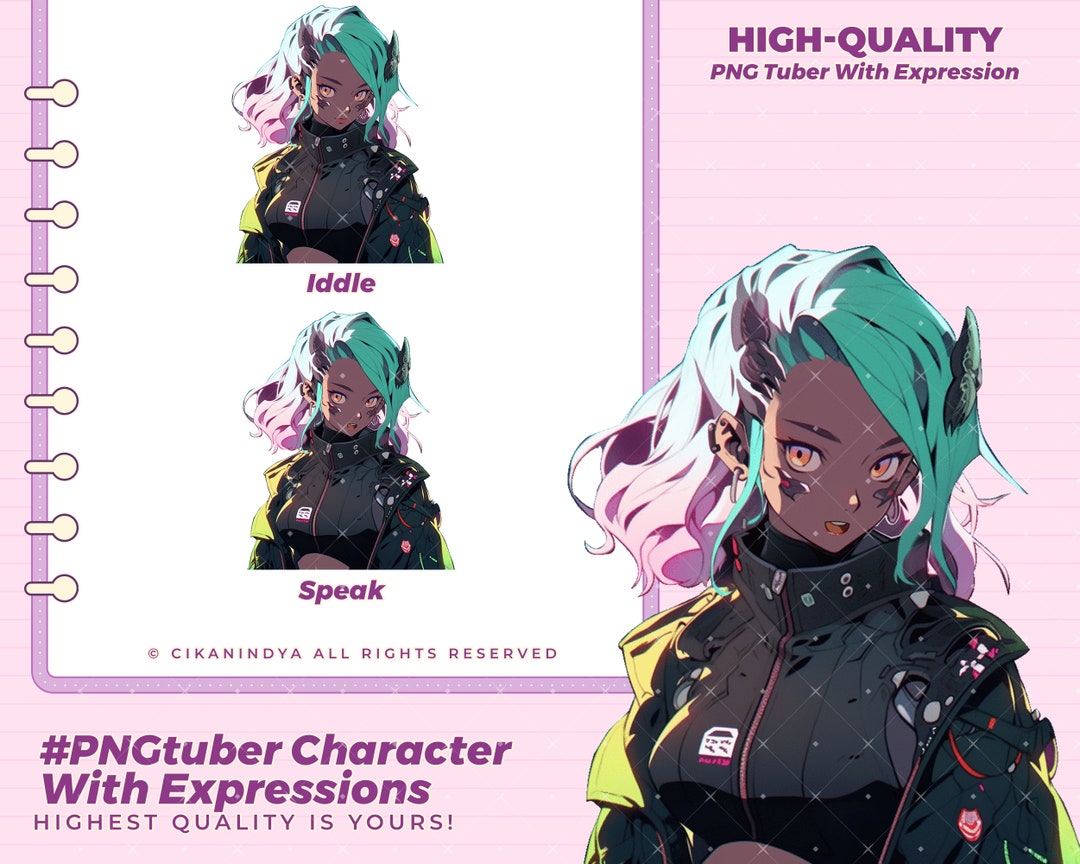 Cyberpunk PNG Tuber Avatar: 2 Pose Streamer Character - Etsy