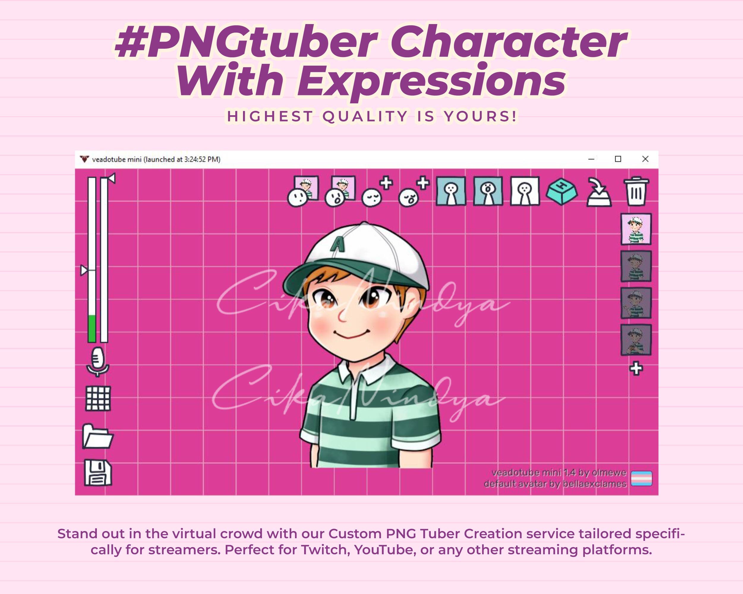 Professional PNG Tuber Graphic for Streamers Pngtuber - Etsy