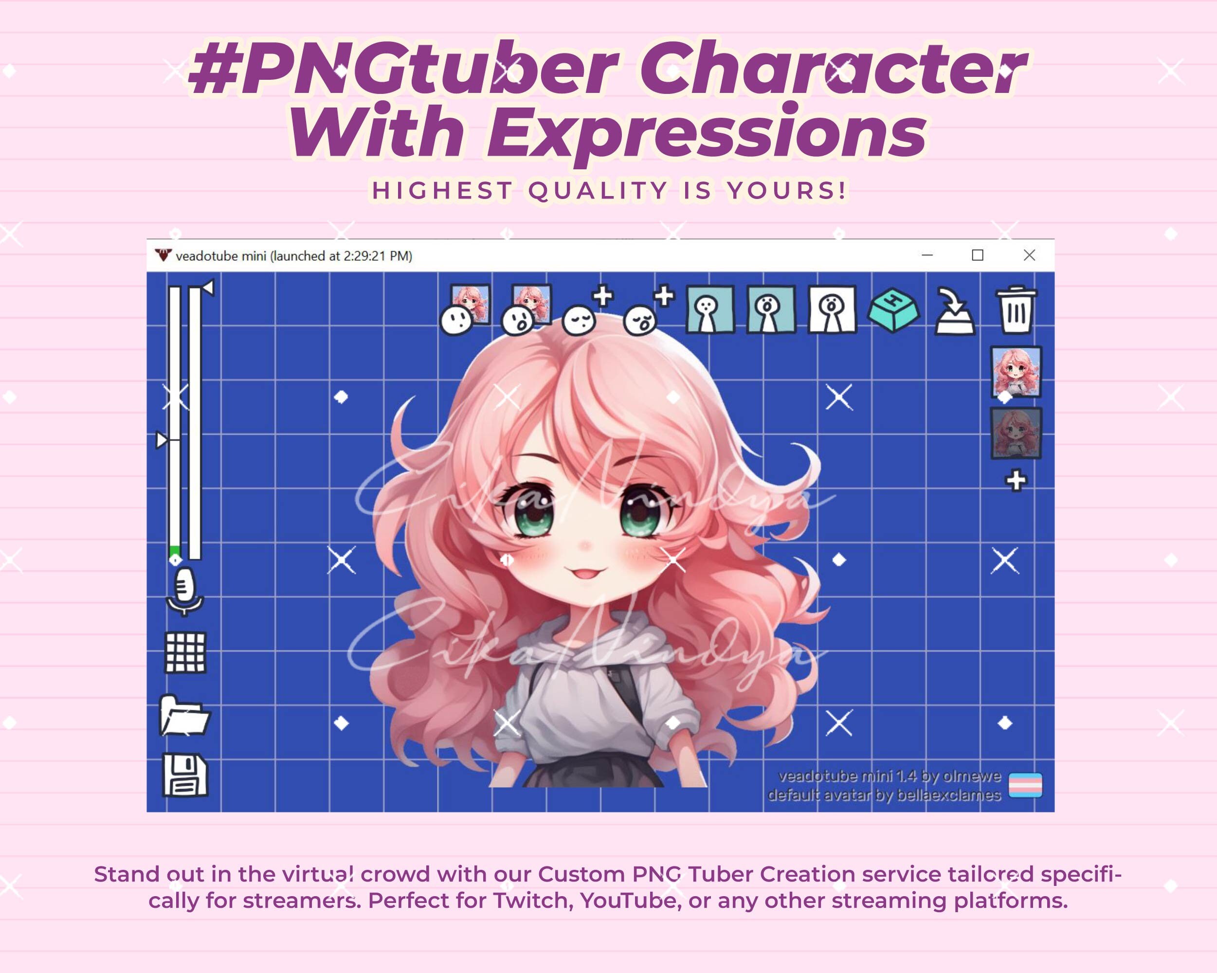 Pngtuber Pngtuber Twitch Pngtuber Model Pngtuber Premade - Etsy Australia