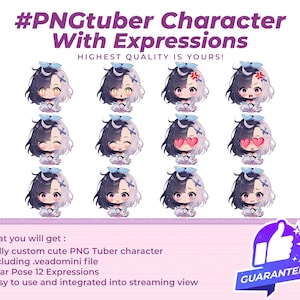 PNG Tuber | Streaming With PNG Tuber Chibi for Digital Broadcasters ...