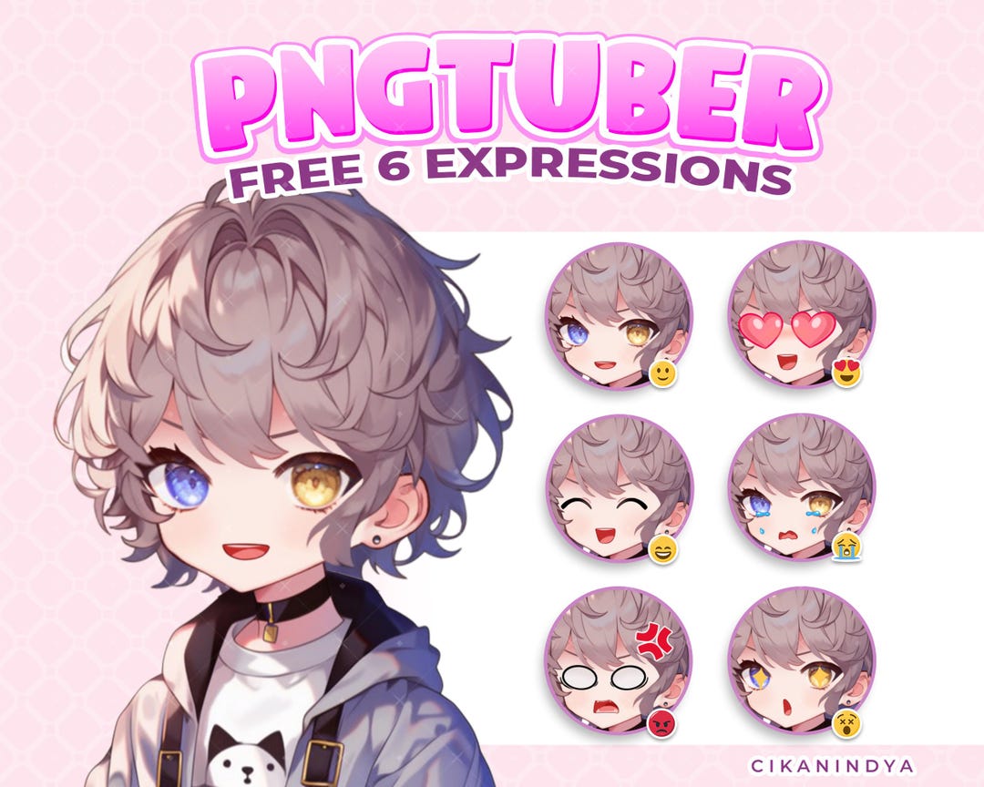 Chibi Pngtuber Model – Adorable Boy With Dual-colored Eyes - Etsy